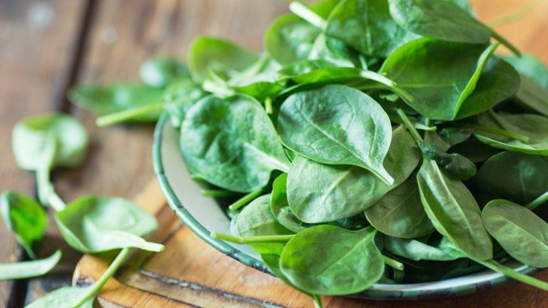 10 Common Foods High in Iron – Entirely Health