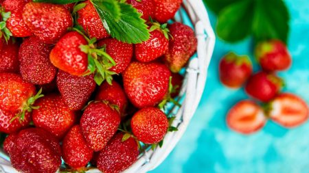 10 Best Foods to Up Your Daily Fiber Intake – Entirely Health