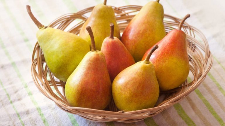 10 Best Foods to Up Your Daily Fiber Intake – Page 9 – Entirely Health