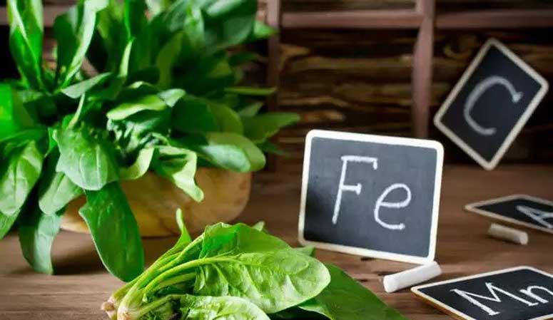 Spinach: Benefits, Nutrition Facts, and Diet Tips – Page 5 – Entirely ...