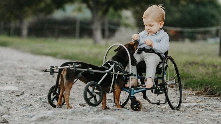 How to Identify Spinal Muscular Atrophy (SMA)? – 8 Symptoms to Know ...