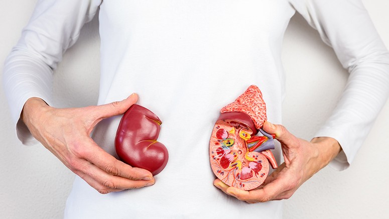 Hyperkalemia (High Blood Potassium) Symptoms – Entirely Health