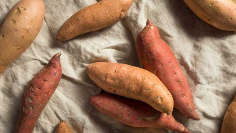The 15 Best Foods to Relieve Constipation – Page 8 – Entirely Health