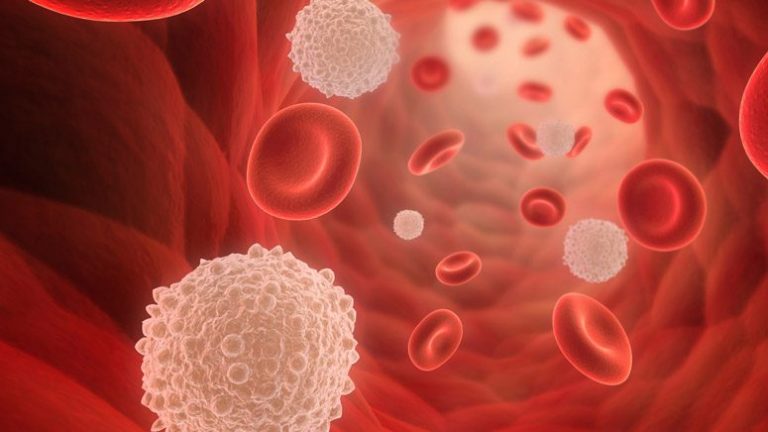 Leukopenia: 10 Facts to know – Page 8 – Entirely Health