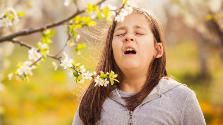 5 Symptoms of Allergic Rhinitis (Hay Fever) – Page 2 – Entirely Health