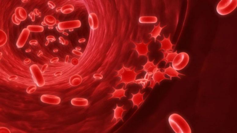 Main Causes of Low Platelet Count – Page 4 – Entirely Health