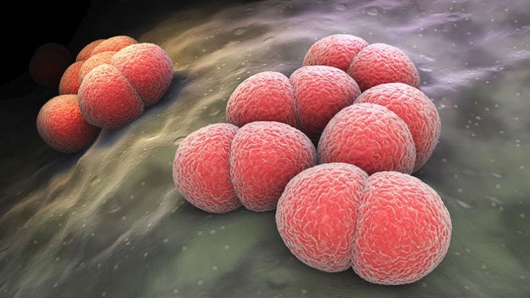 5 Main Symptoms of Septicemia – Entirely Health