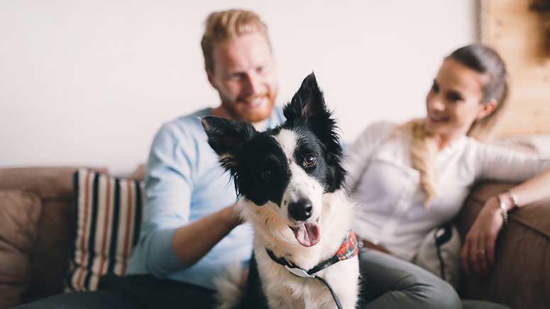 10 Solid Reasons Dogs Are Better Than Cats – Page 5 – Entirely Health