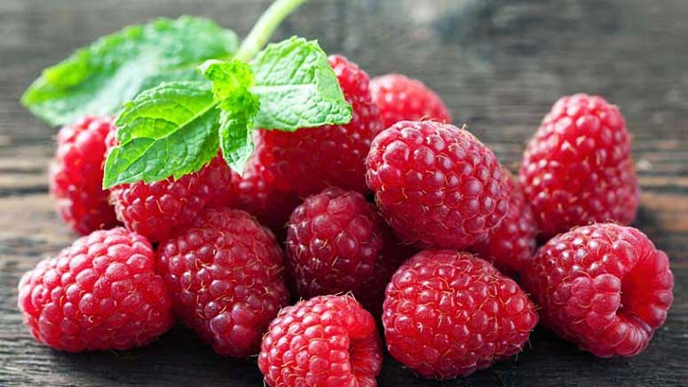 Top 10 Antioxidant Super Foods – Page 6 – Entirely Health