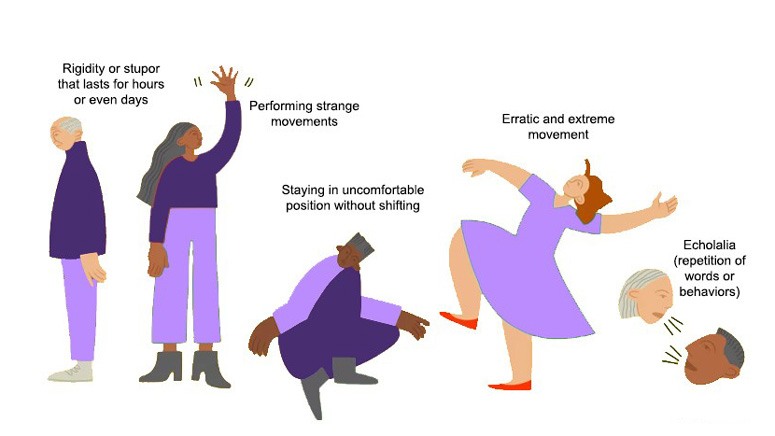 Everything You Need to Know about Catatonia – Page 5 – Entirely Health