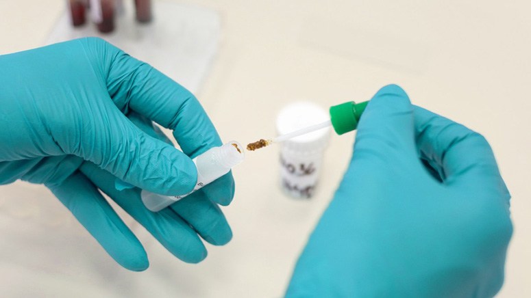 What Should I Know About Screening for Colorectal Cancer – Page 4 ...