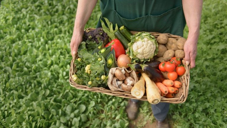 Pros and Cons of Organic Food – All Facts to Know – Entirely Health