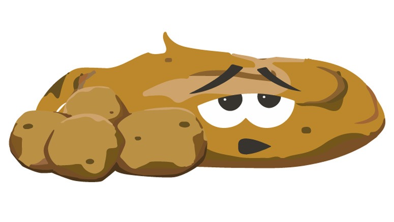 Steatorrhea (Fatty Stool): All Facts To Know – Page 5 – Entirely Health