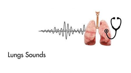 Rhonchi and Rales – What to Know About Lung Sounds – Page 2 – Entirely ...