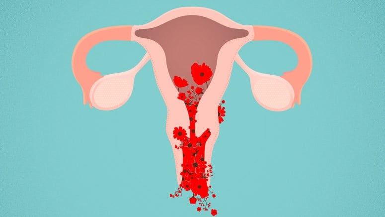 How Common is Cervical Cancer? – Page 4 – Entirely Health