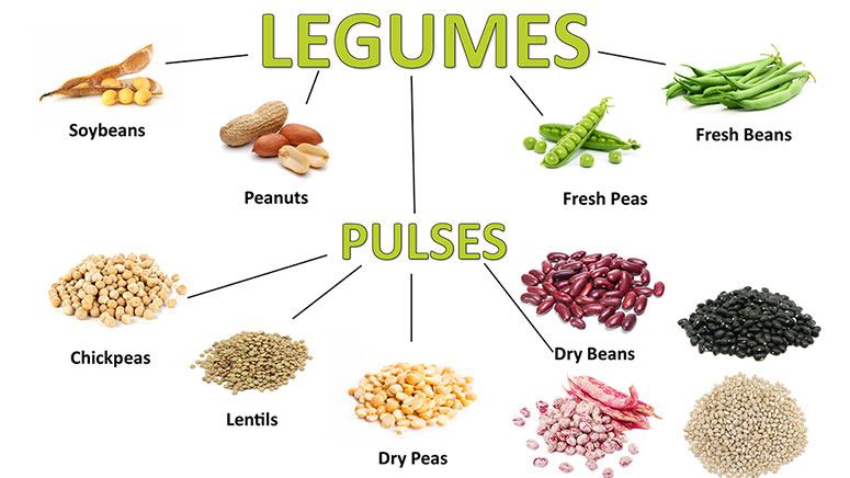 10 Common Foods and Ingredients High in FODMAPs – Page 6 – Entirely Health