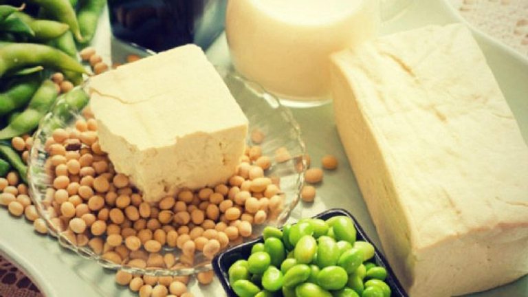 Phytoestrogen: Benefits, Risks, and Food Lists – Entirely Health