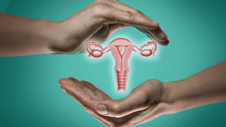 Hysterectomy Purpose Procedure Benefits Risks And Recovery Page