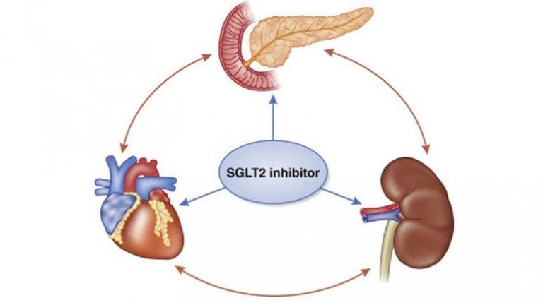 SGLT2 Inhibitors: What It Is, Side Effects, and More – Entirely Health