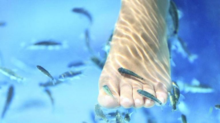 Fish Pedicure: Safety, Benefits, Risks, and Ethics – Entirely Health