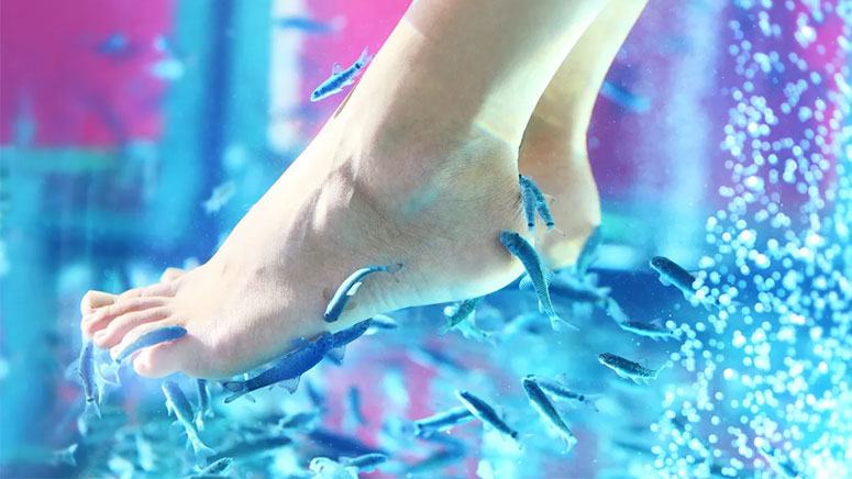 Fish Pedicure: Safety, Benefits, Risks, and Ethics – Page 2 – Entirely ...