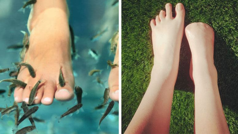 Fish Pedicure: Safety, Benefits, Risks, and Ethics – Page 3 – Entirely ...