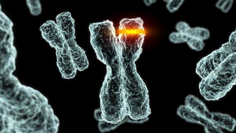 Is Type 2 Diabetes Genetic? – Page 2 – Entirely Health