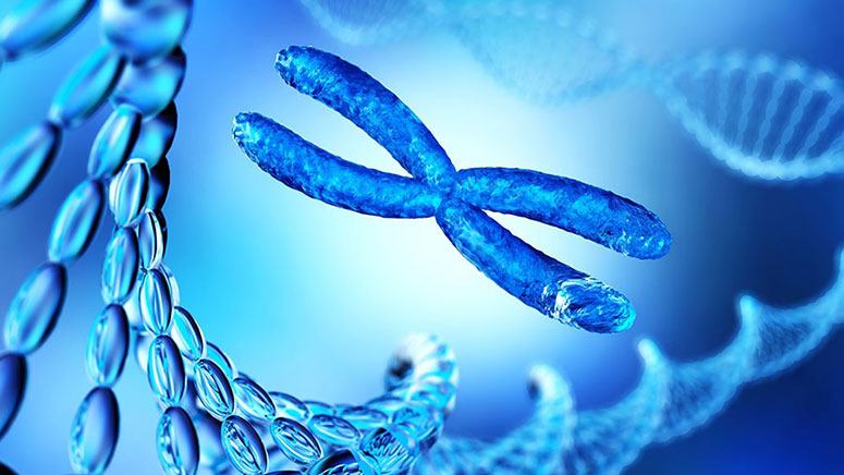 Do Identical Twins Have Identical DNA? – Page 3 – Entirely Health