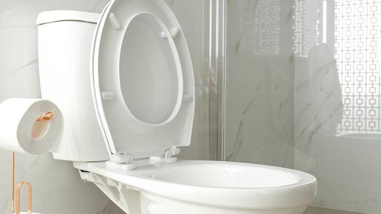 Can Mold in the Toilet Indicate Diabetes? – Entirely Health