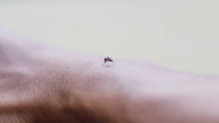 Koebner Phenomenon: An Overview – Page 3 – Entirely Health