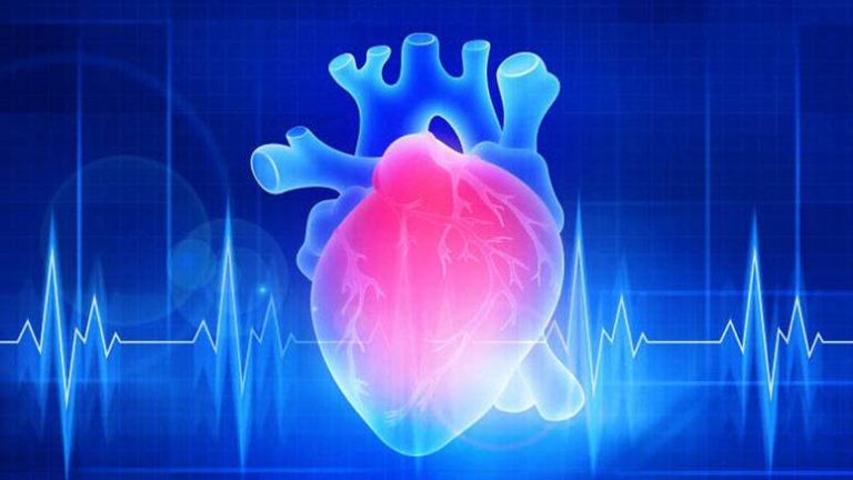 Heart Attack vs. Heart Failure: How Do They Differ? – Page 4 – Entirely ...