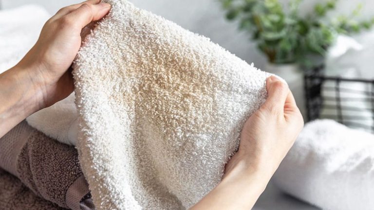 Can You Get Herpes from a Dirty Towel? – Page 2 – Entirely Health