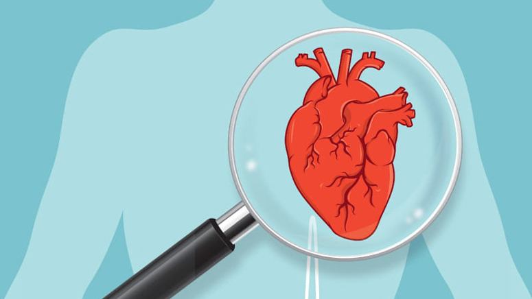 What Is Coronary Heart Disease? – Page 7 – Entirely Health