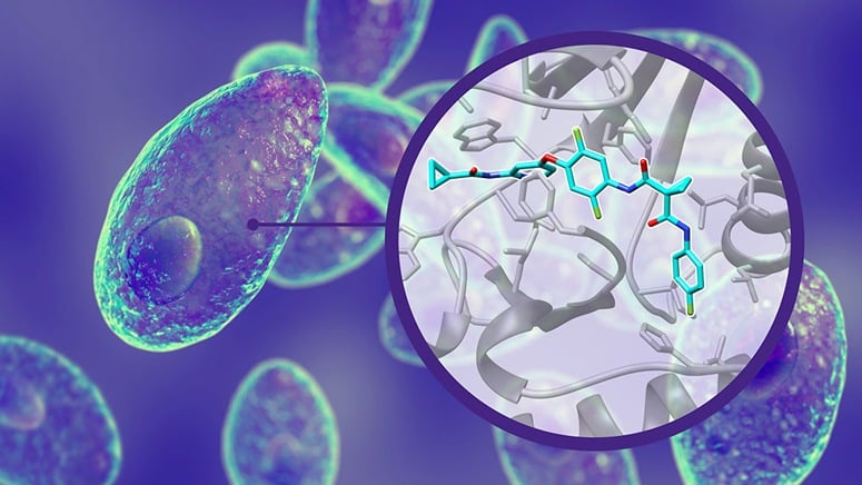 Causes and Risk Factors of Toxoplasmosis – Entirely Health
