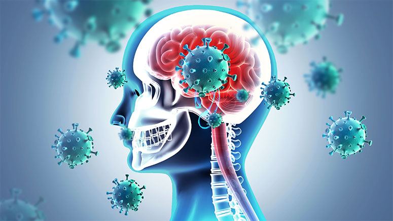 Viral Meningitis: Causes, Treatment, and Prevention – Page 3 – Entirely ...