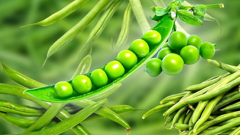 12 Best Foods That Help Ease Your Arthritis Pain – Page 11 – Entirely Health