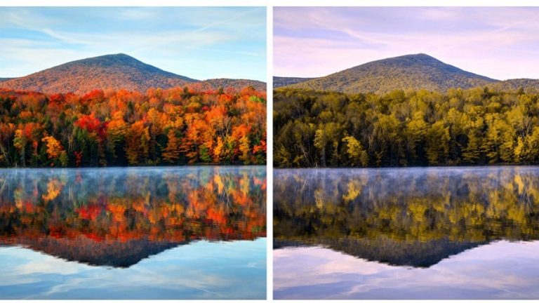 Color Blindness: Types, Causes, and Treatments – Page 3 – Entirely Health