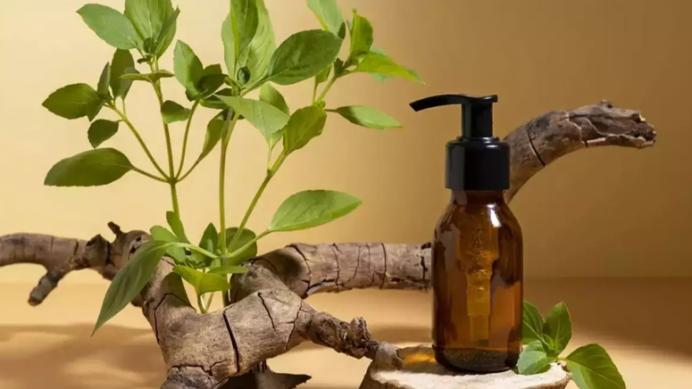 12 Easy Ways to Reverse Receding Gums Naturally – Page 8 – Entirely Health