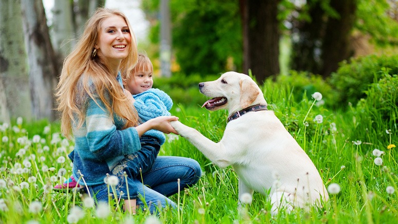 Parvo in Dogs and Puppies: What You Need to Know – Page 3 – Entirely Health