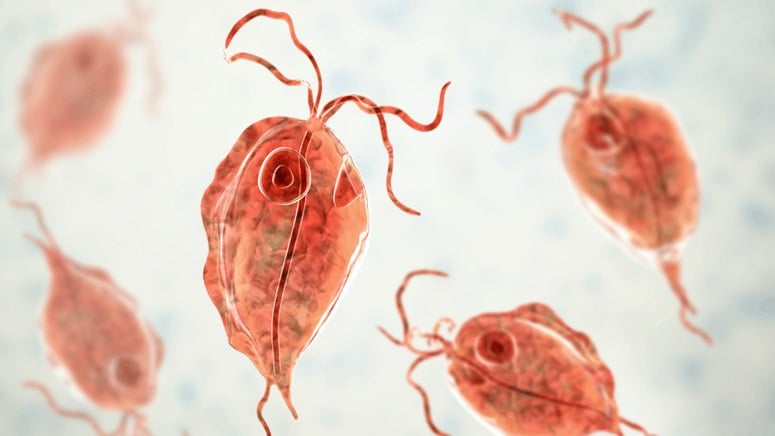 10 Common STDs You Should Know About – Page 5 – Entirely Health